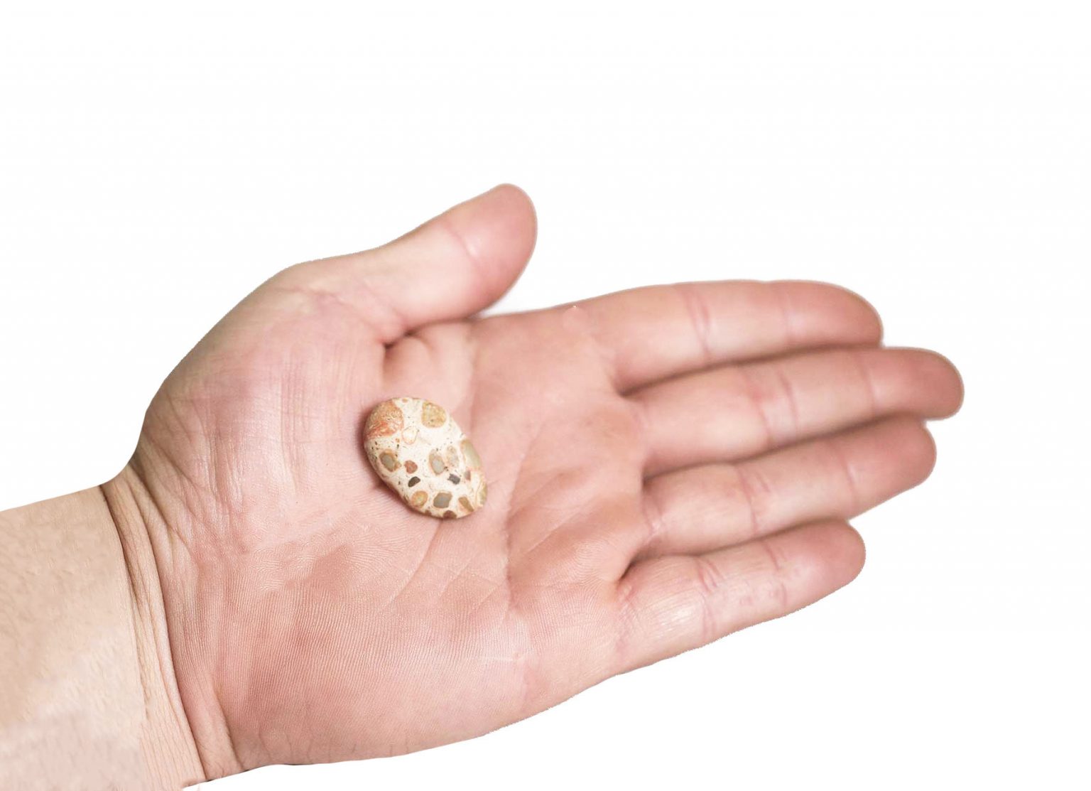 Leopardite Tumbled - Crystal Dreams World