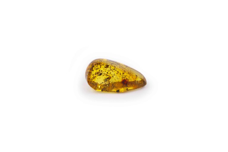 Amber Polished with Fossil Insect - Crystal Dreams World