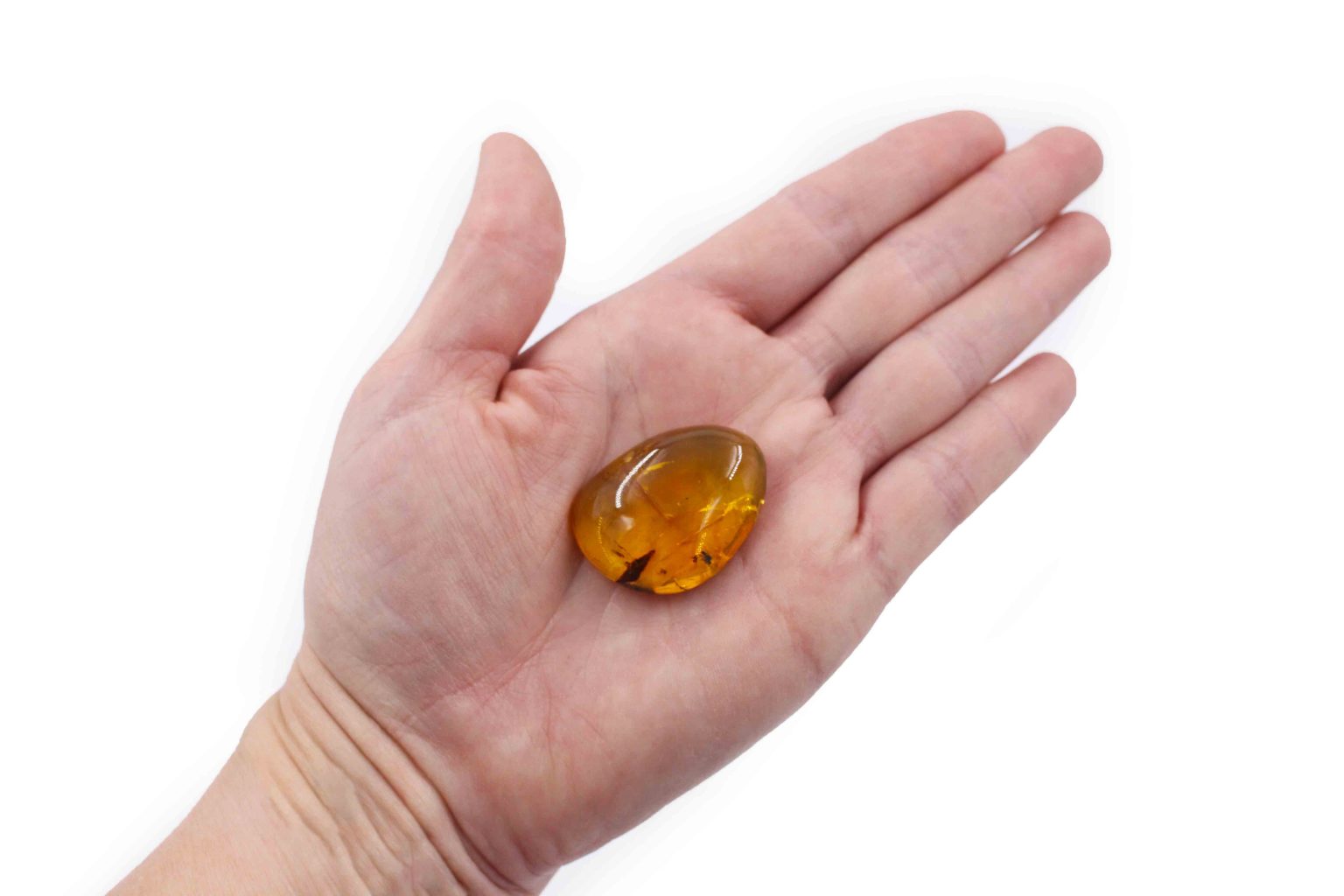 Amber Polished with Fossil Insect - Crystal Dreams World