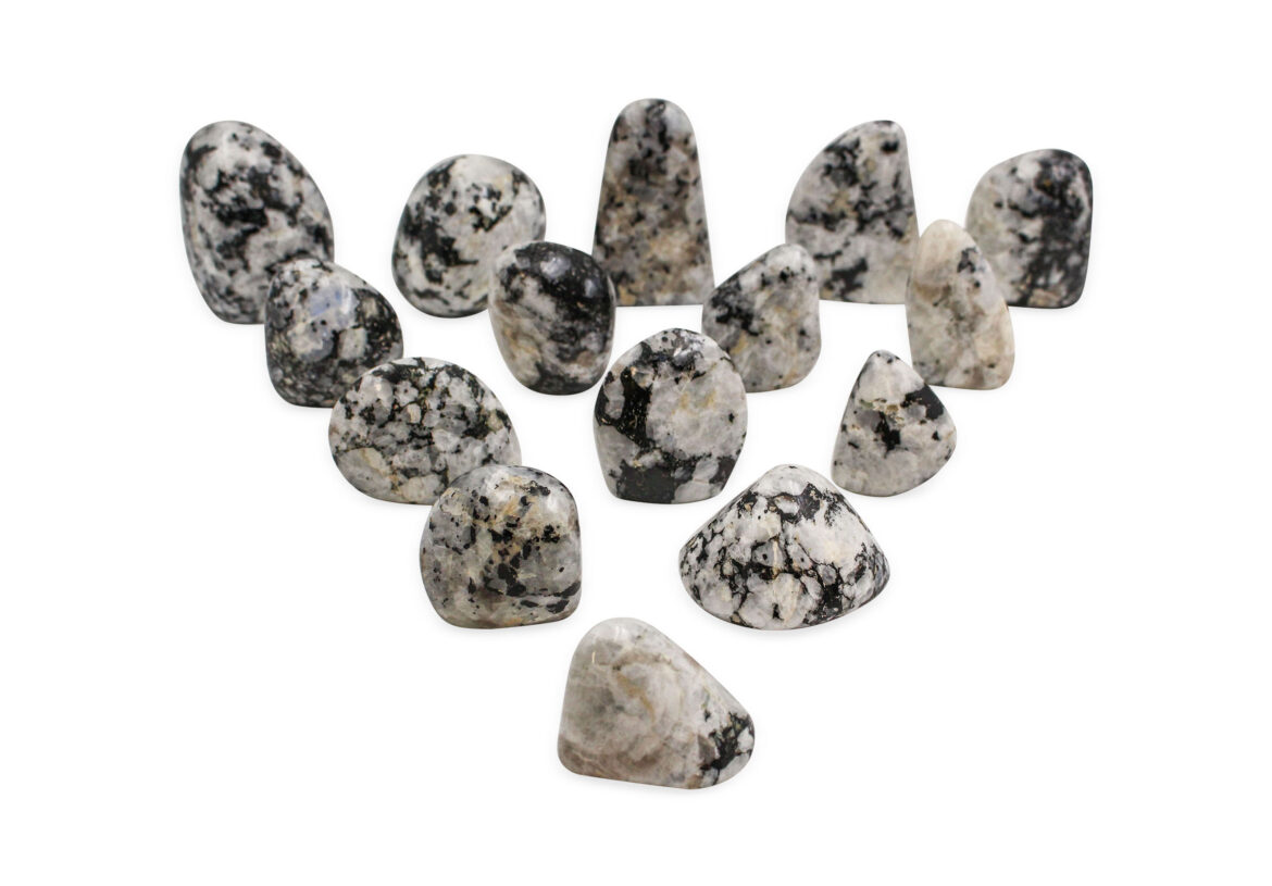 Moonstone Cut Base Polished Free Form - Crystal Dreams World