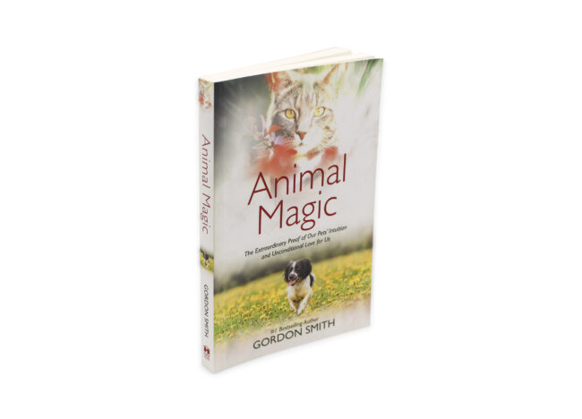 Animal Magic Book - Crystal Dreams World