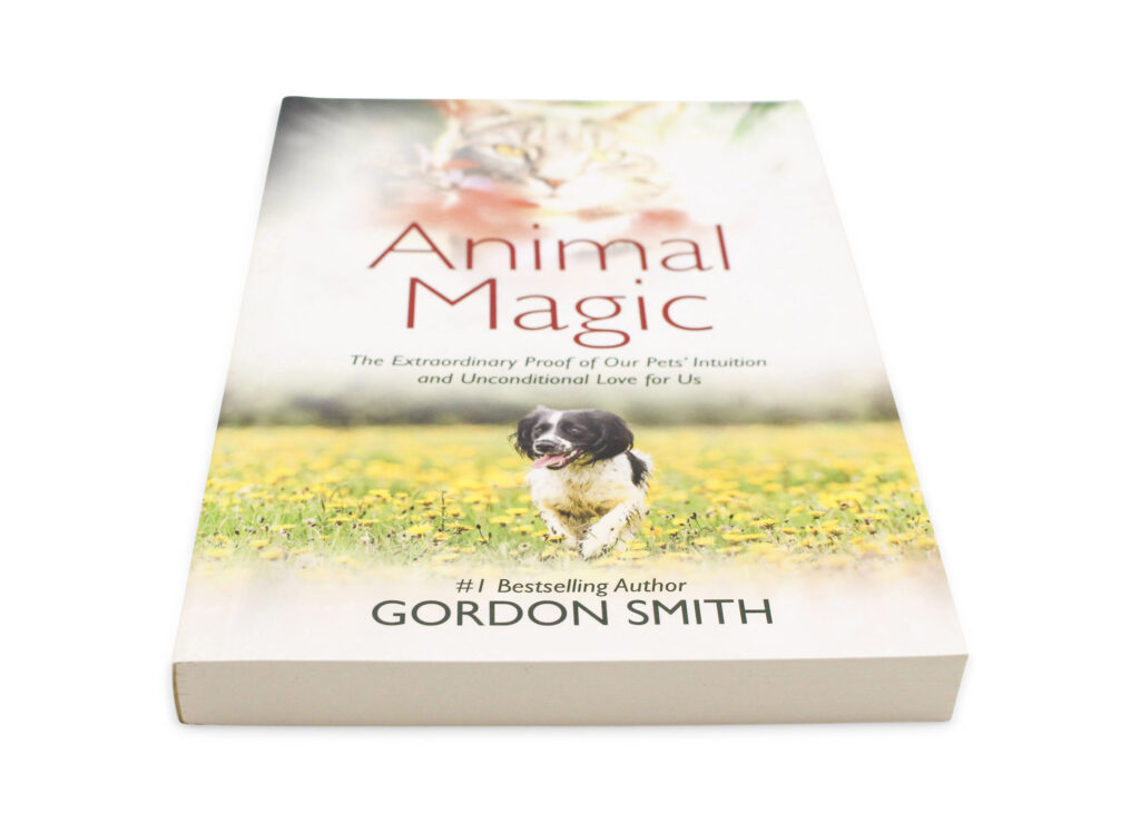 Animal Magic Book - Crystal Dreams World