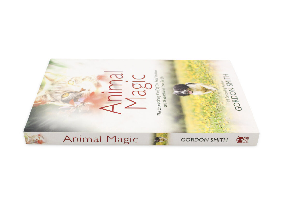 Animal Magic Book - Crystal Dreams World