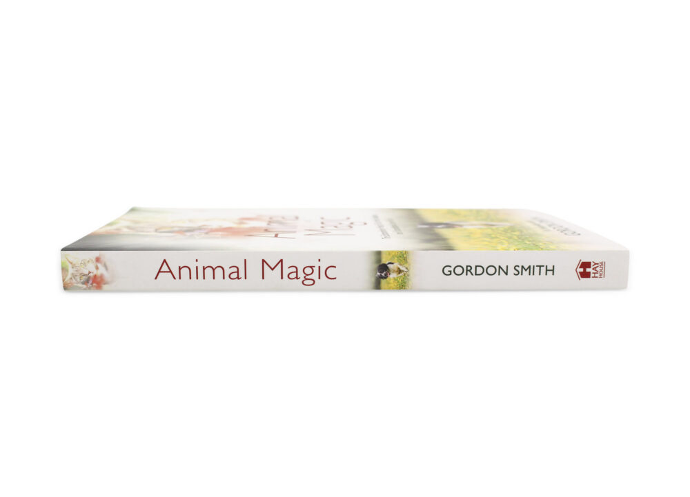 Animal Magic Book - Crystal Dreams World