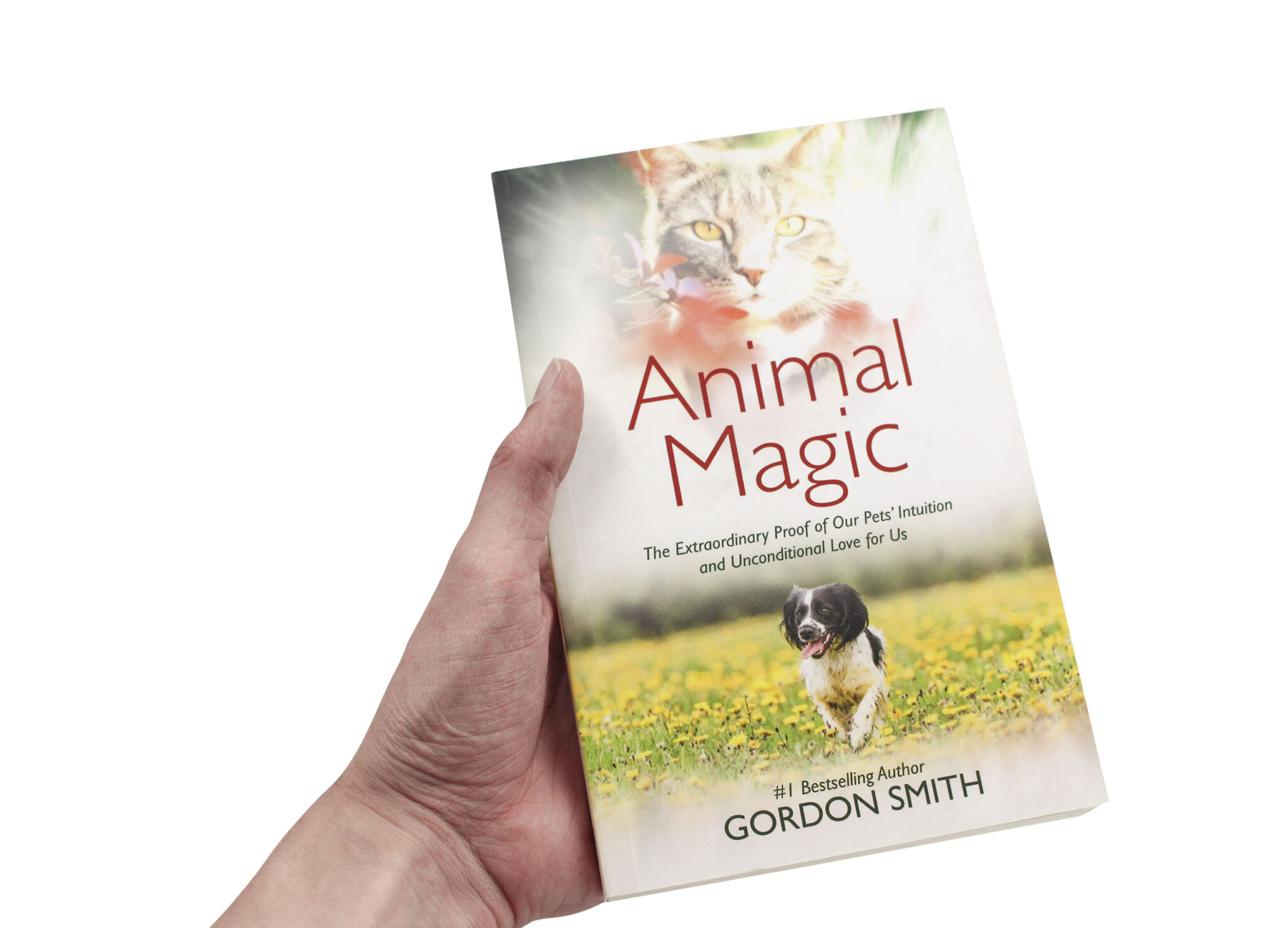 Animal Magic Book - Crystal Dreams World