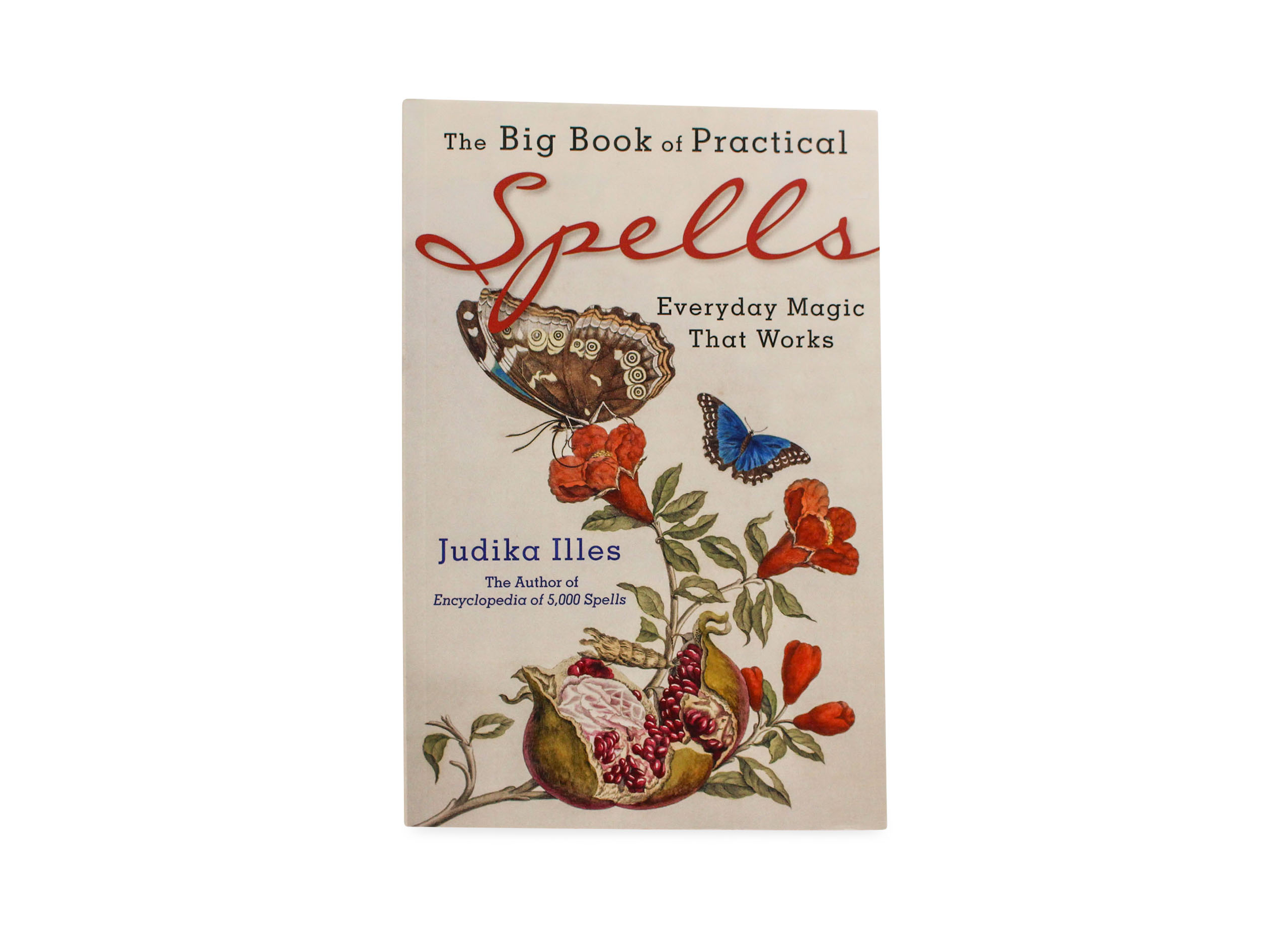 Livre "The Big Book of Practical Spells" (version anglaise seulement ...