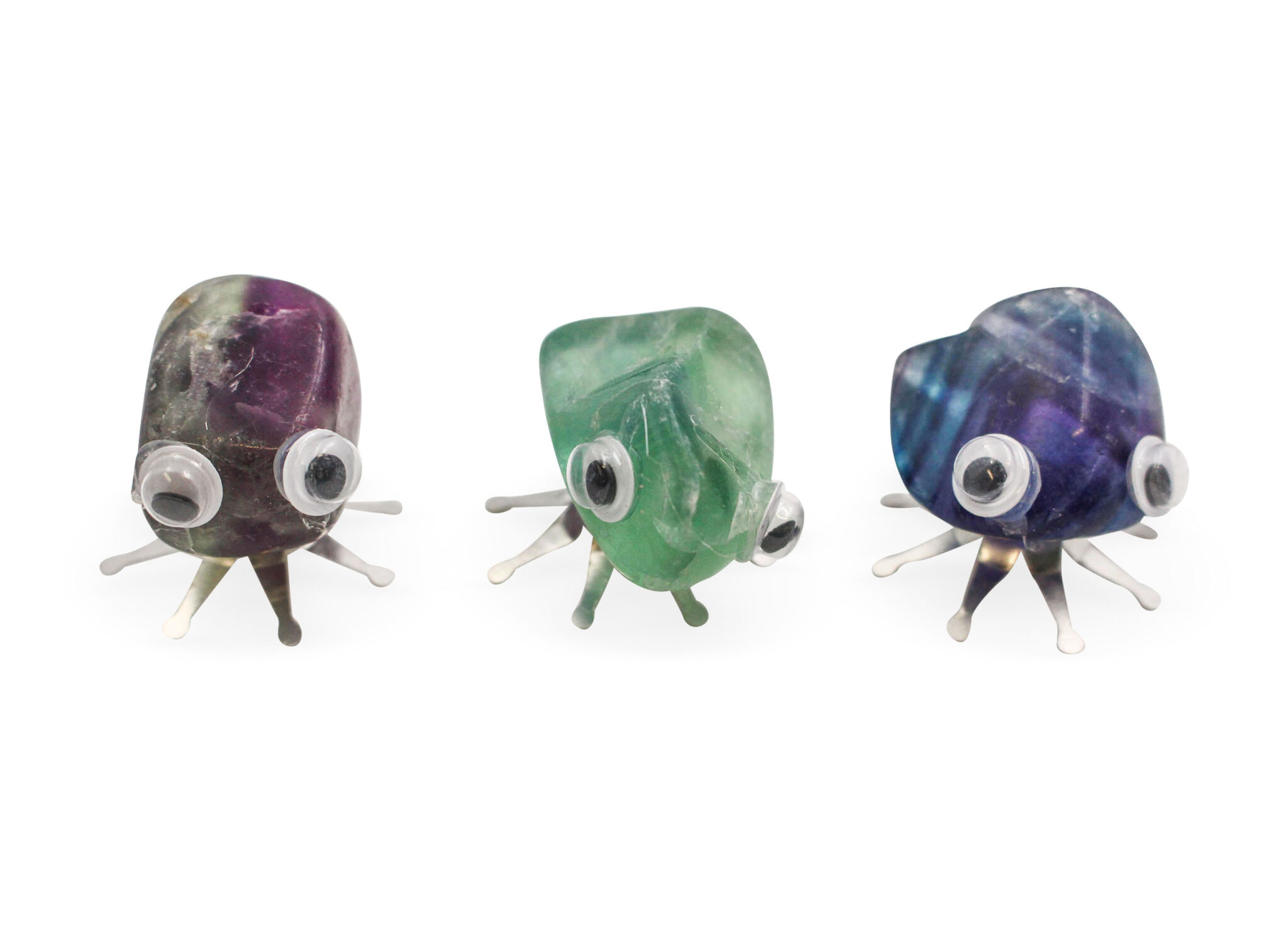 Rock Insect - Fluorite - Crystal Dreams World