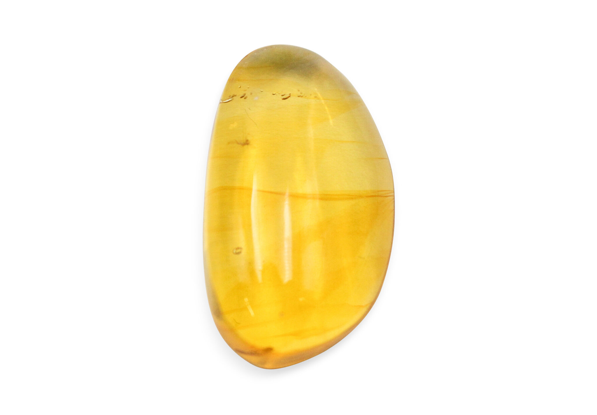 Rare Amber Polished with Fossil Insect in a Box - Crystal Dreams World