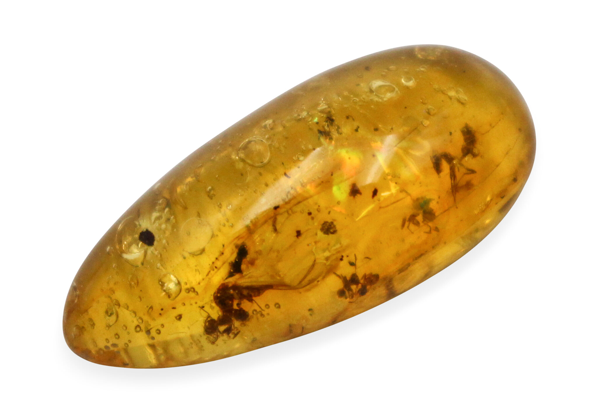 Rare Amber Polished with Fossil Insect in a Box - Crystal Dreams World