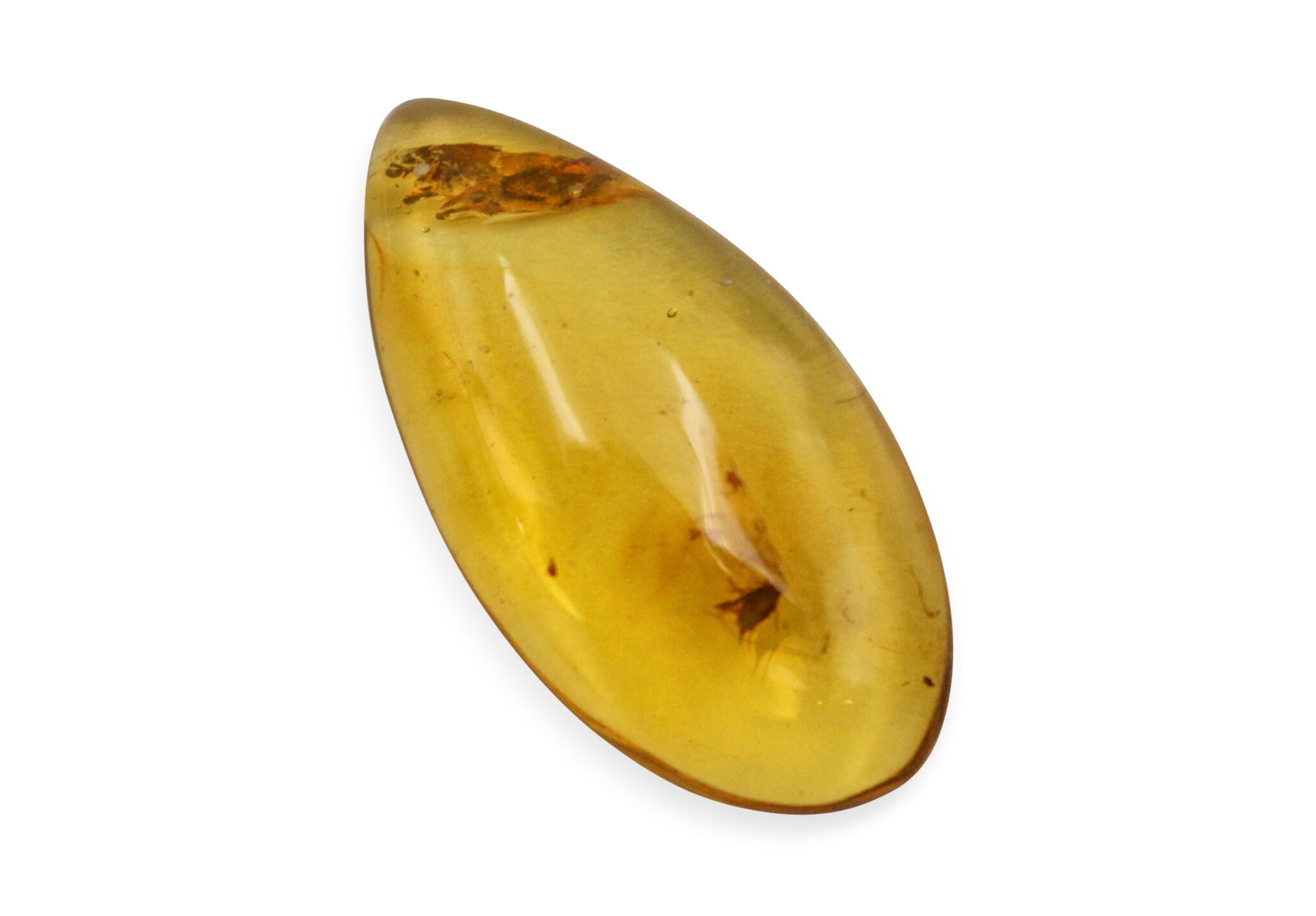 Rare Amber Polished with Fossil Insect in a Box - Crystal Dreams World