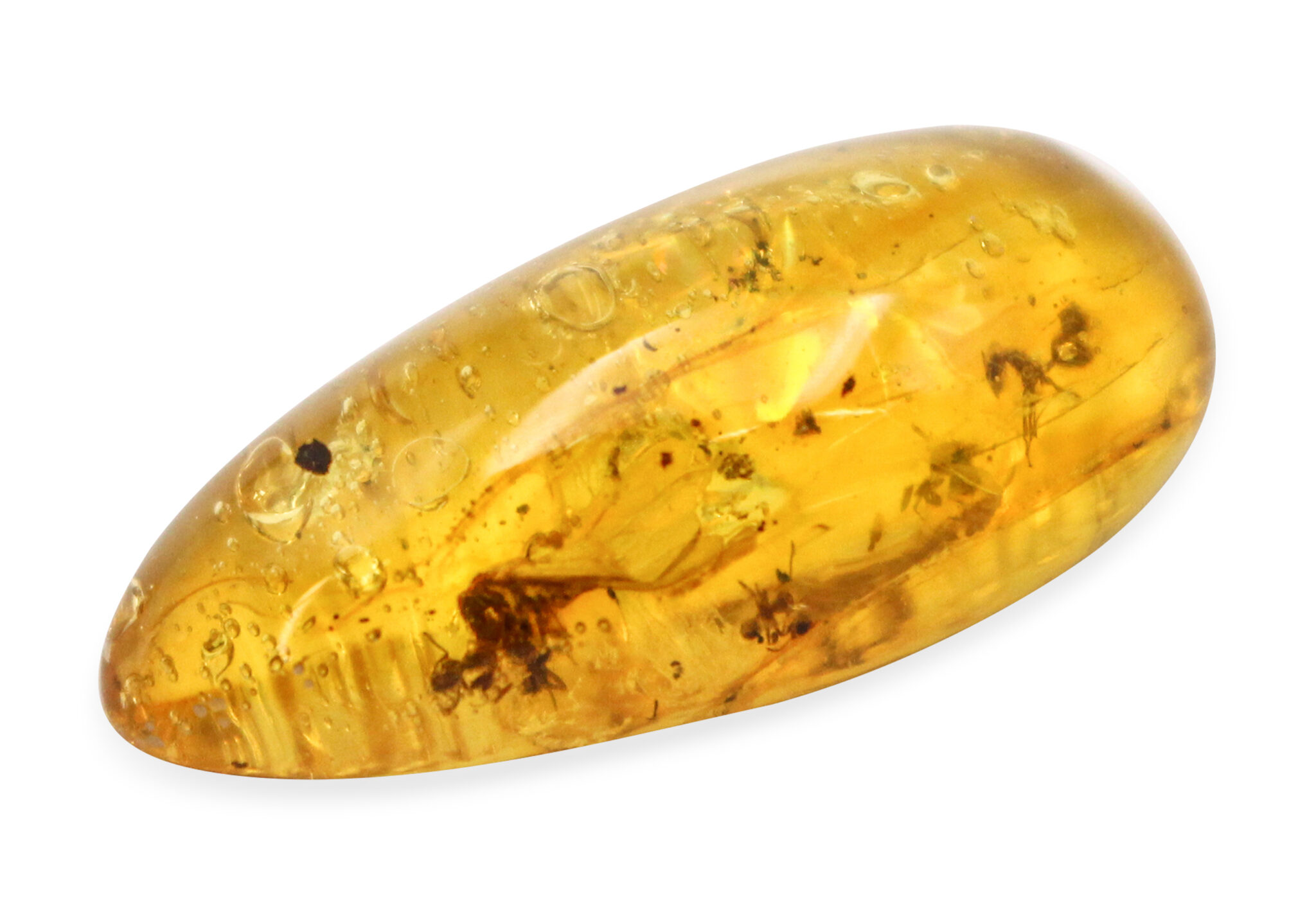 Rare Amber Polished with Fossil Insect in a Box - Crystal Dreams World