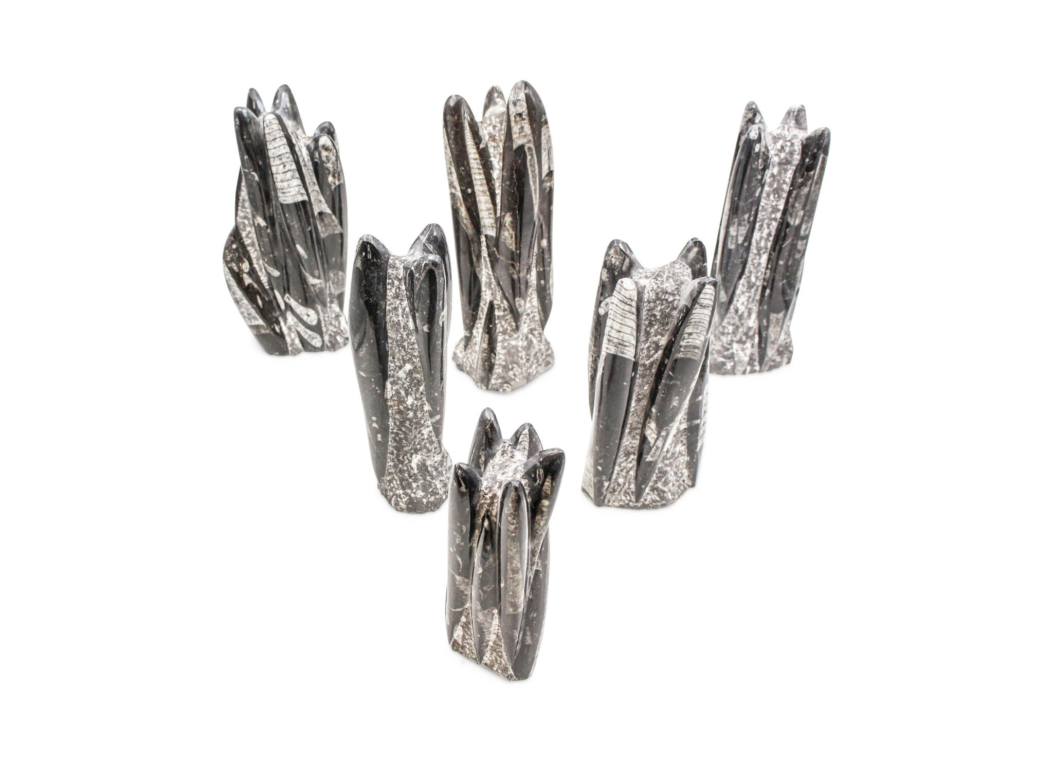 Orthoceras Fossil Statue - Crystal Dreams World